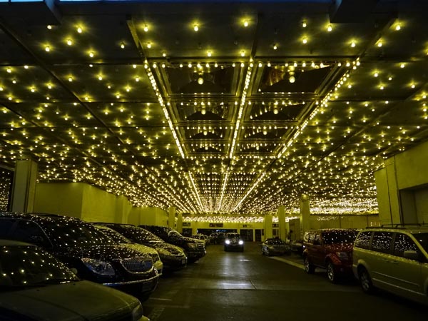 Reflections From the Fence: THE Trip, THE Encore' :: Laughlin Nevada