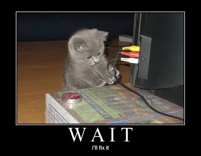 True Book Addict...Books, Cats, and More: #CatThursday - Technical ...