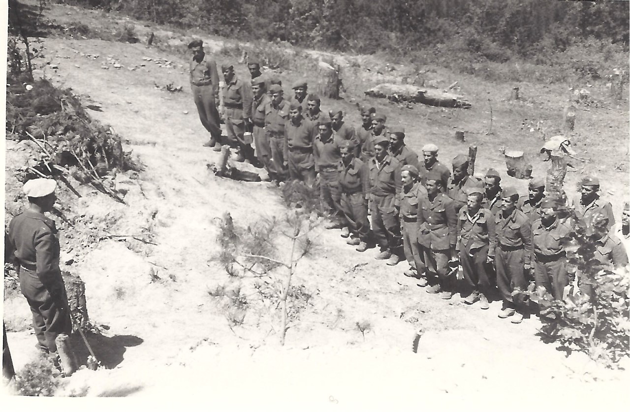 ΚΟΙΝΩΦΕΛΕΣ ΙΔΡΥΜΑ ΠΕΡΣΕΥΣ ΑΘΗΝΑΙΟΣ: ΨΗΦΙΟΠΟΙΗΣΗ ΑΡΧΕΙΟΥ ΡΙΜΙΝΙΤΩΝ ...