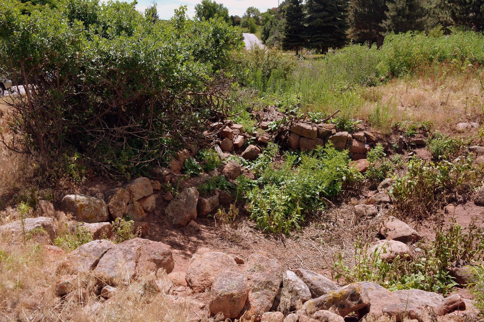 Mille Fiori Favoriti: Chief Colorow and Colorow Cave