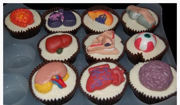 Recipe (My Additional Piece): Anatomy Organ Cupcakes
