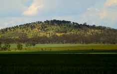 The Parental Magazine: Mount Wycheproof in Australia - The Smallest ...
