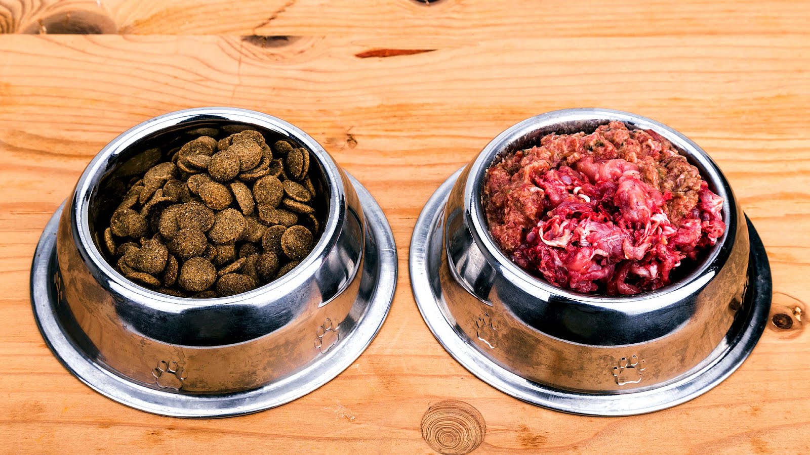 What Do You Feed A Sick Dog Dog Choices what-do-you-feed-a-sick-dog-dog-choices