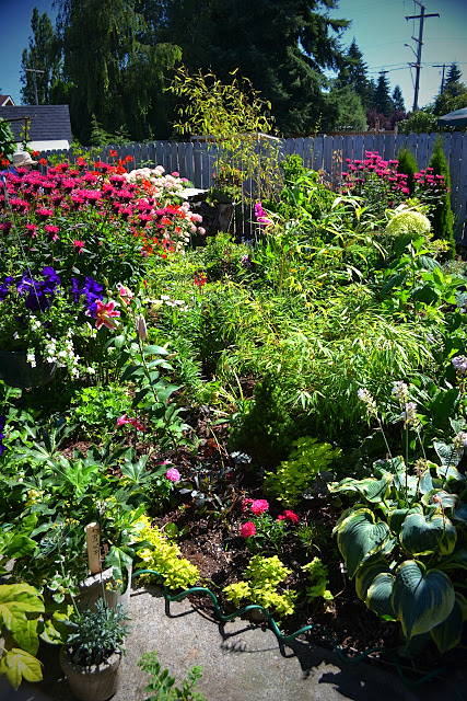 The Outlaw Gardener: Federal Way Symphony Garden Tour Part One: Last ...