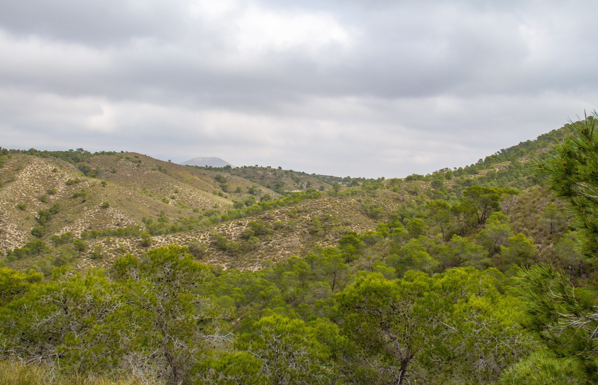 RUTA CIRCULAR AL CERRO DEL AGUDO DESDE BARBARROJA.