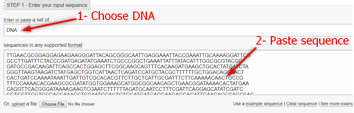 How to Convert nucleotide sequence into protein and perform BLAST on it ...