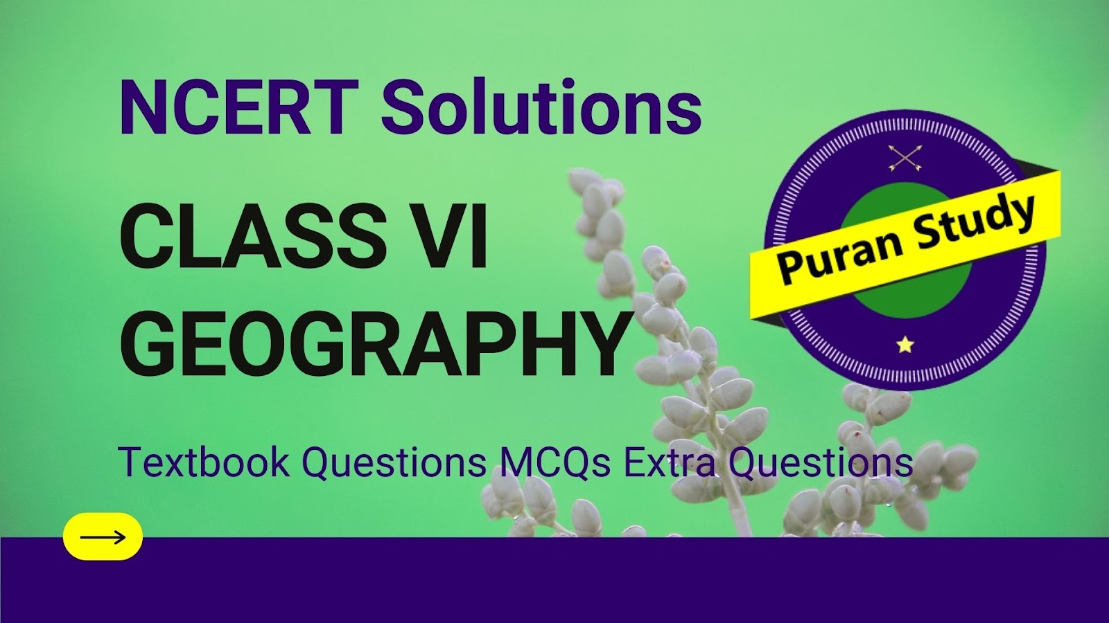 NCERT Chapter 3 Solution For Class 6 Geography SSt ncert-chapter-3-solution-for-class-6-geography-sst