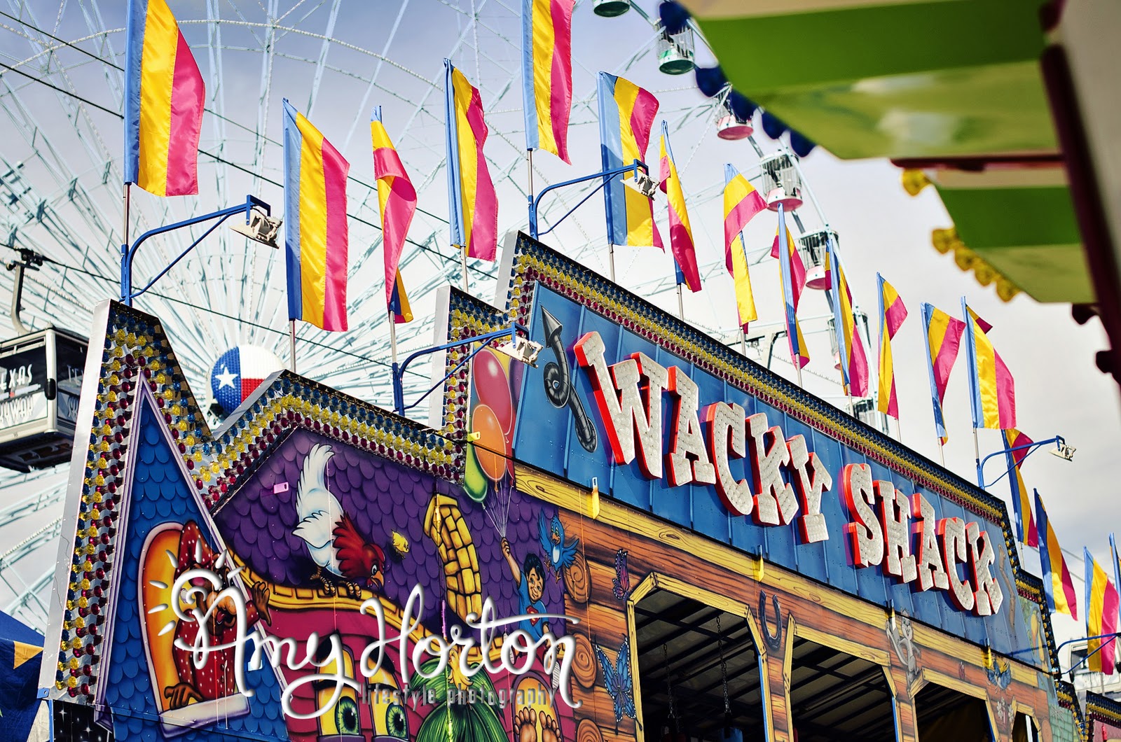 amyhortonphotography: 10 on 10 Project- The State Fair of Texas, a 10 ...