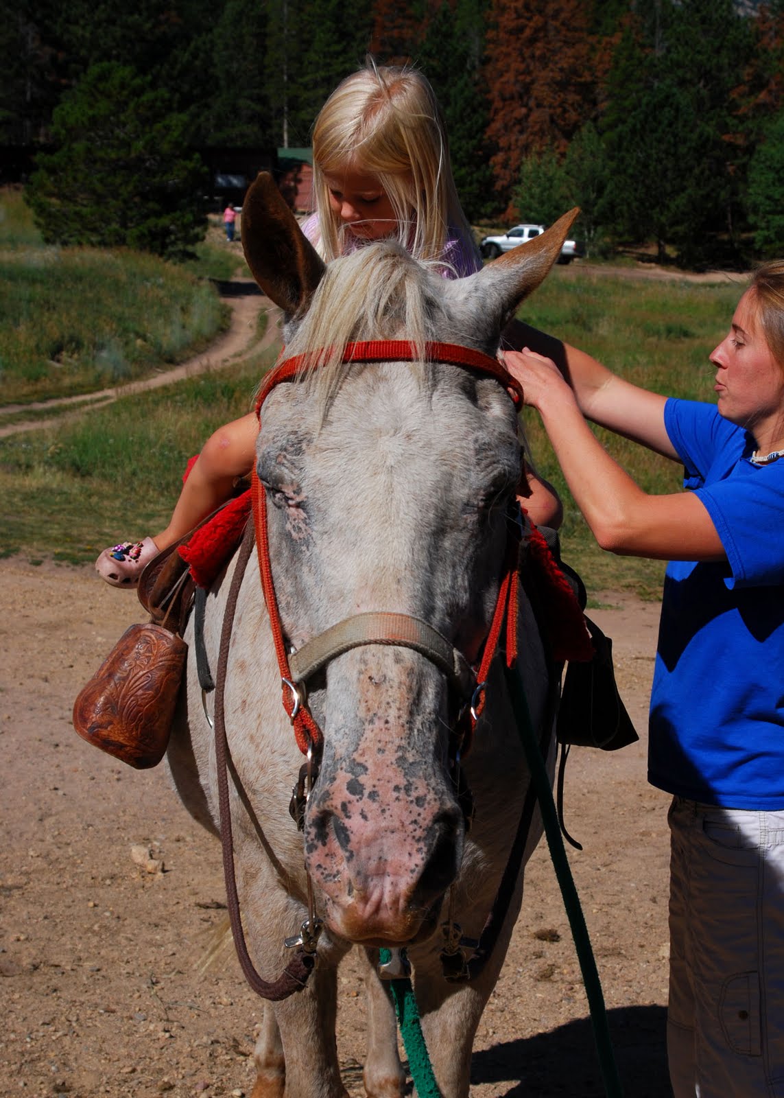 Magnolia and Boothe: Lane Guest Ranch