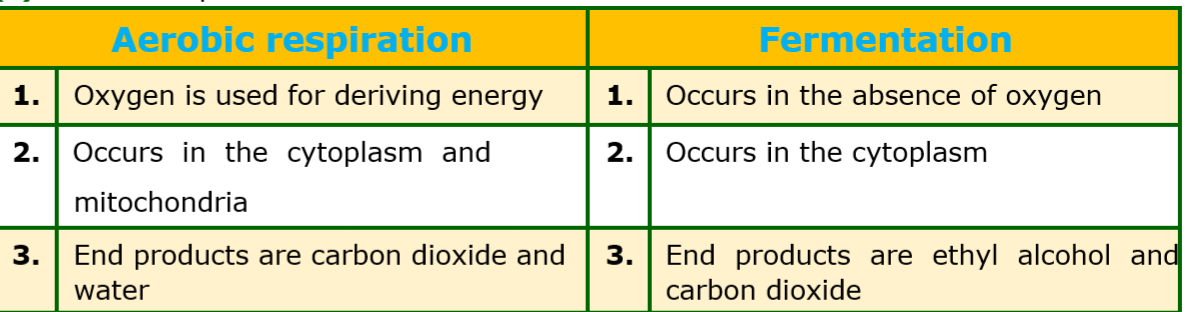 Ncert solution of class 11 chapter 14 respiration in plants - Studypur