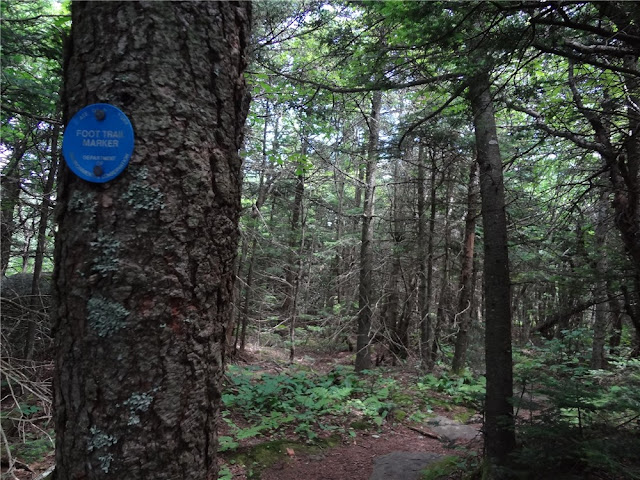 Gone Hikin': Catskill Forest Preserve, NY: Slide Mountain Wilderness ...