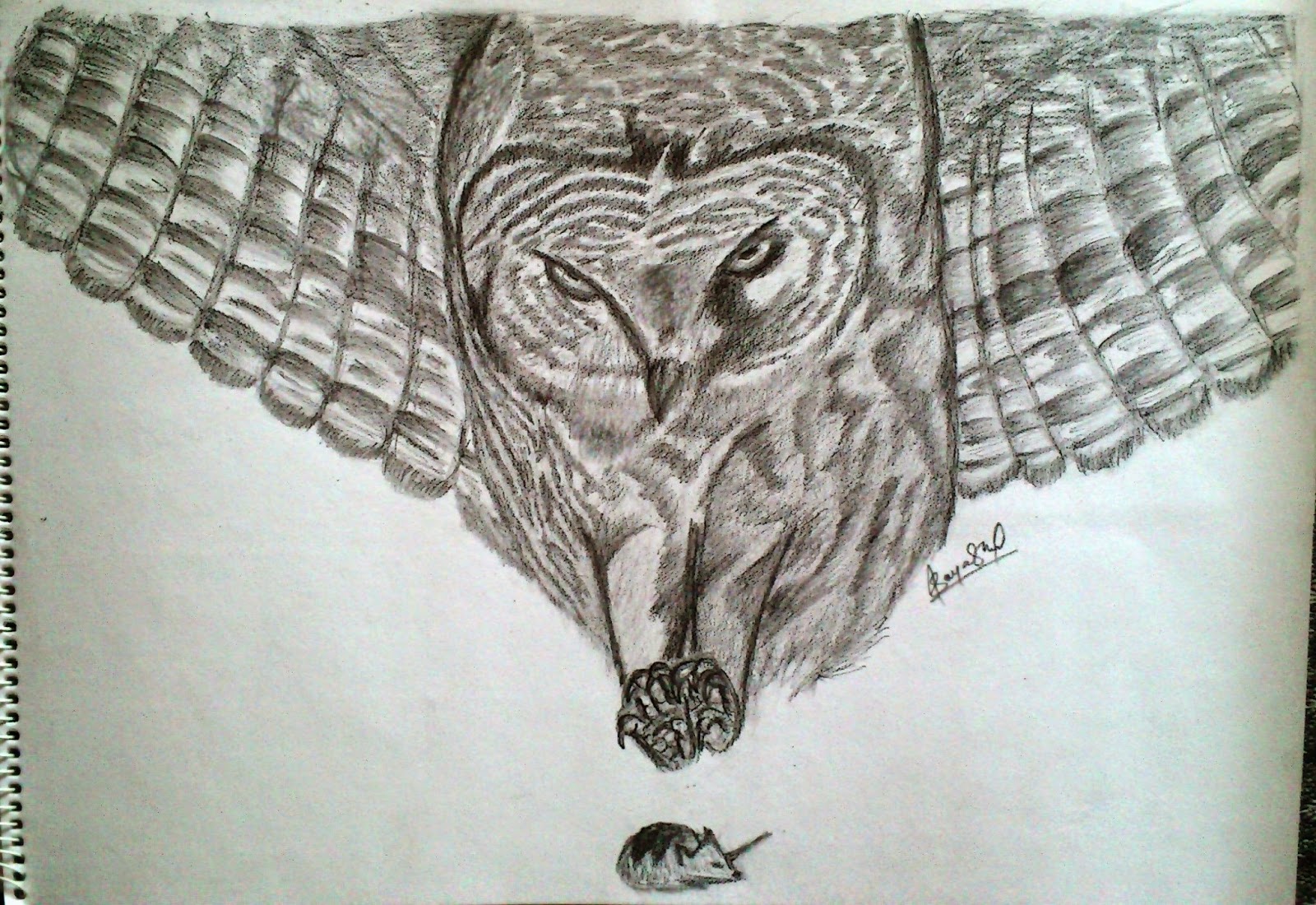 Dive on Arts: An owl and its prey