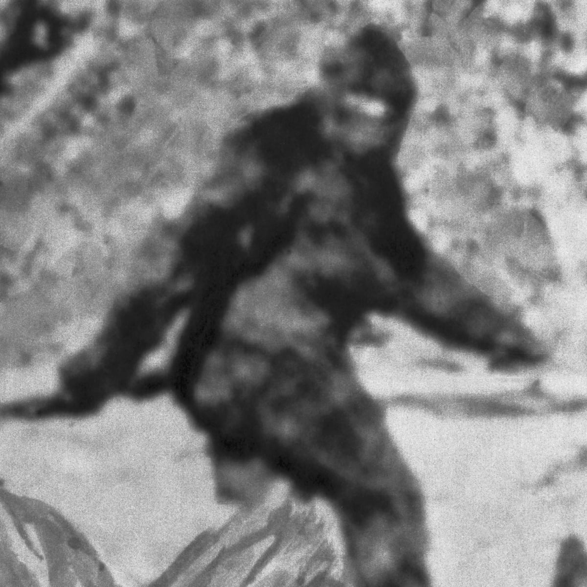 SNEAK PEEK : "Finding Bigfoot: The Search Continues" on Discovery