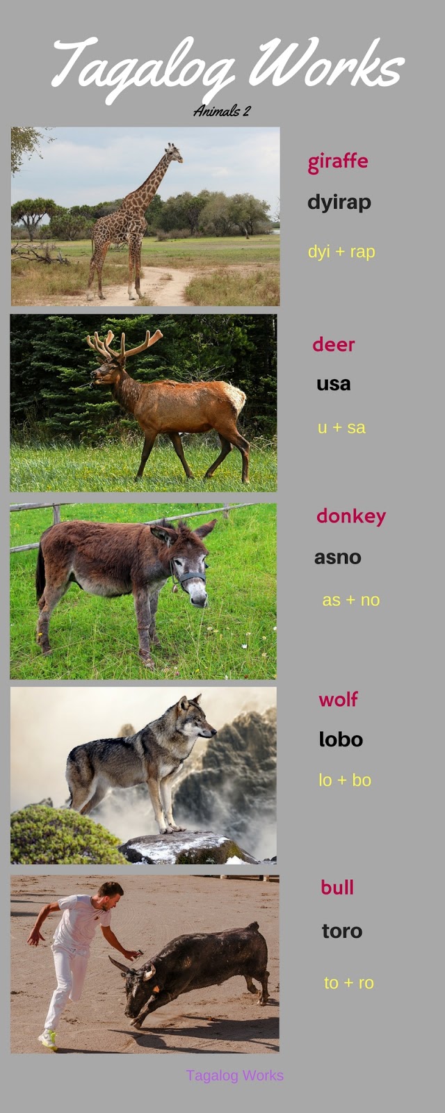 Animals in Tagalog