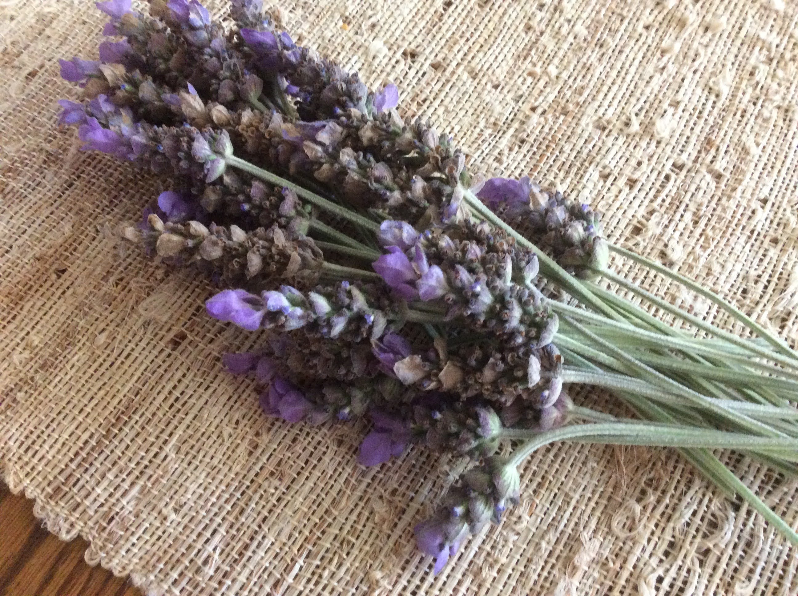 Fresh Vintage by Lisa S: A Fresh Lavender Wreath