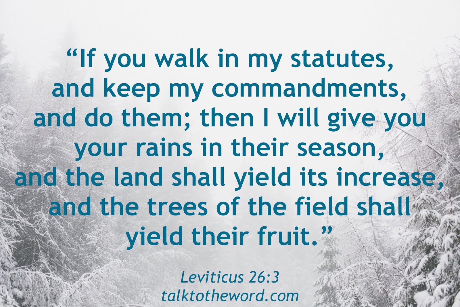 Leviticus 26 3