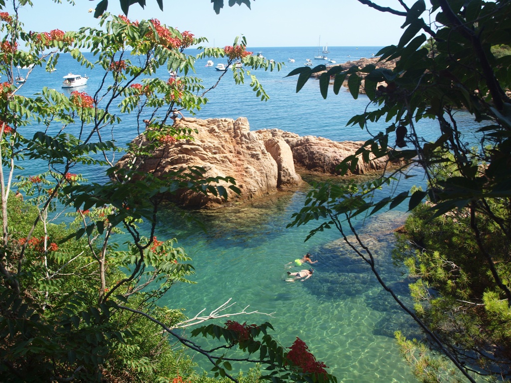 SOM DE PÍCNIC: Àrea de pícnic de la Cala Jonca, Sant Feliu de Guíxols ...