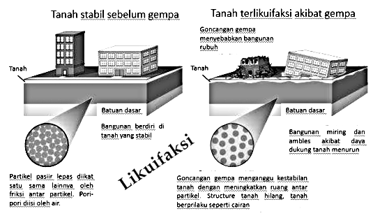 Patahan Palu-Koro gempa Bumi, Tsunami dan Likuifaksi - Manajemen Sekolah