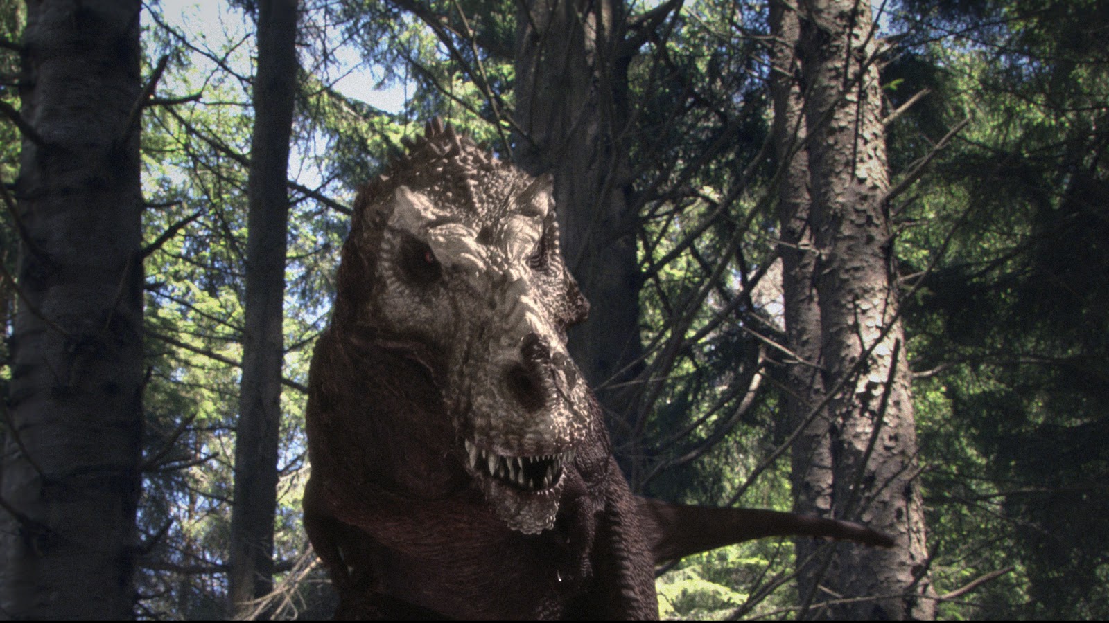 Art by Angie: More high res pictures of Dinosaurs:)