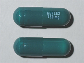 KEFLEX (Cephalexin)