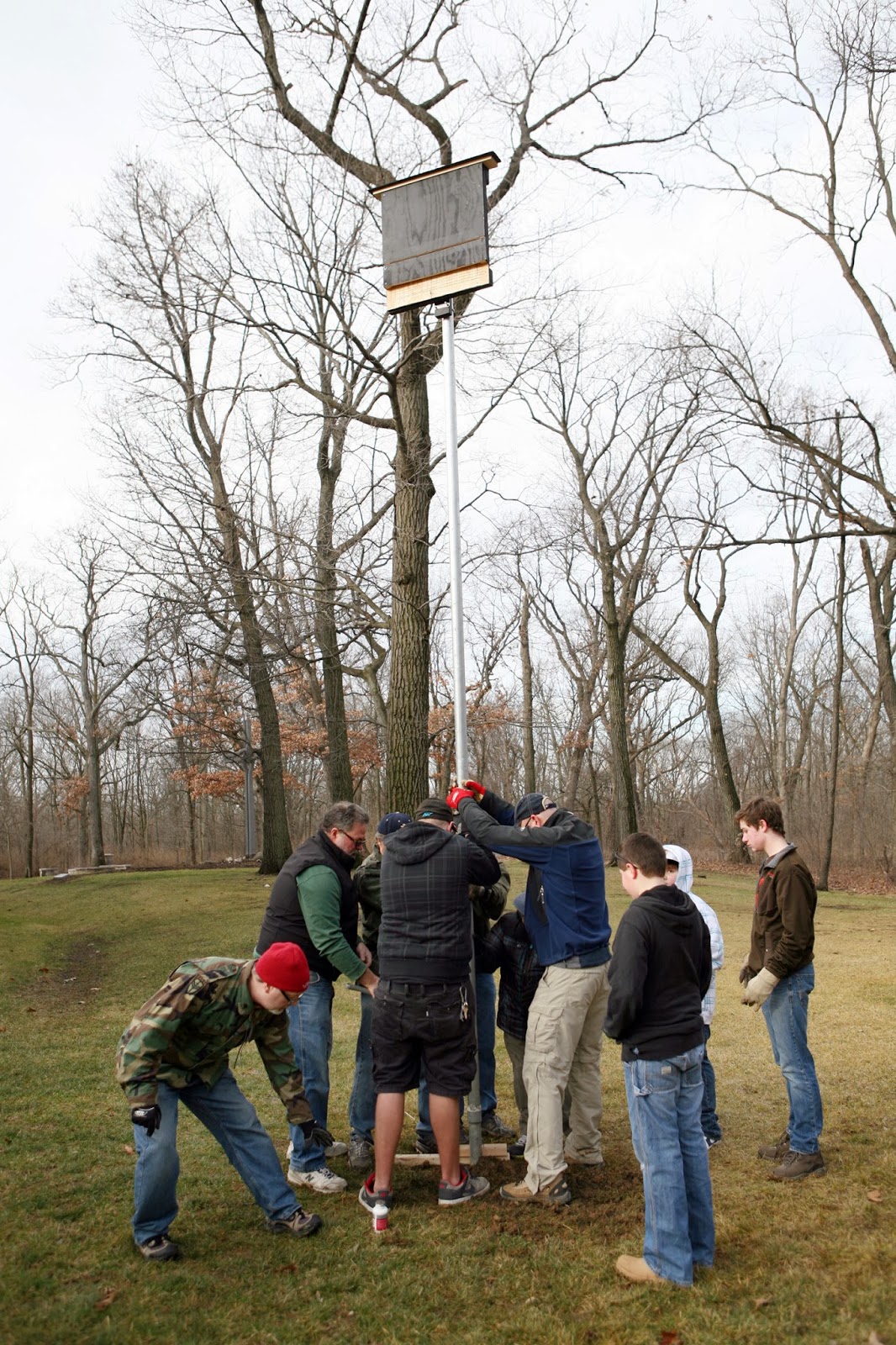 Mark Kodiak Ukena: Eagle Scout Bat House Project