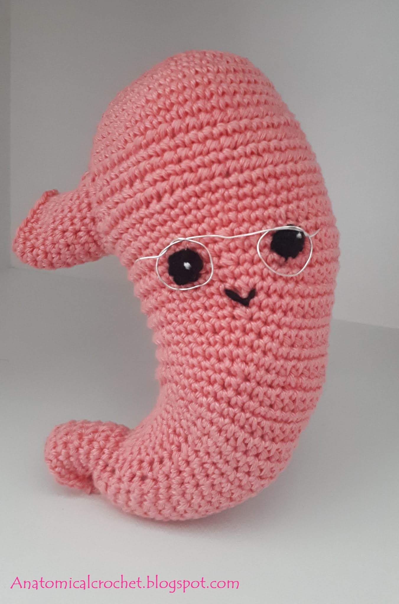 Adventures into Anatomical Crochet: Stomach