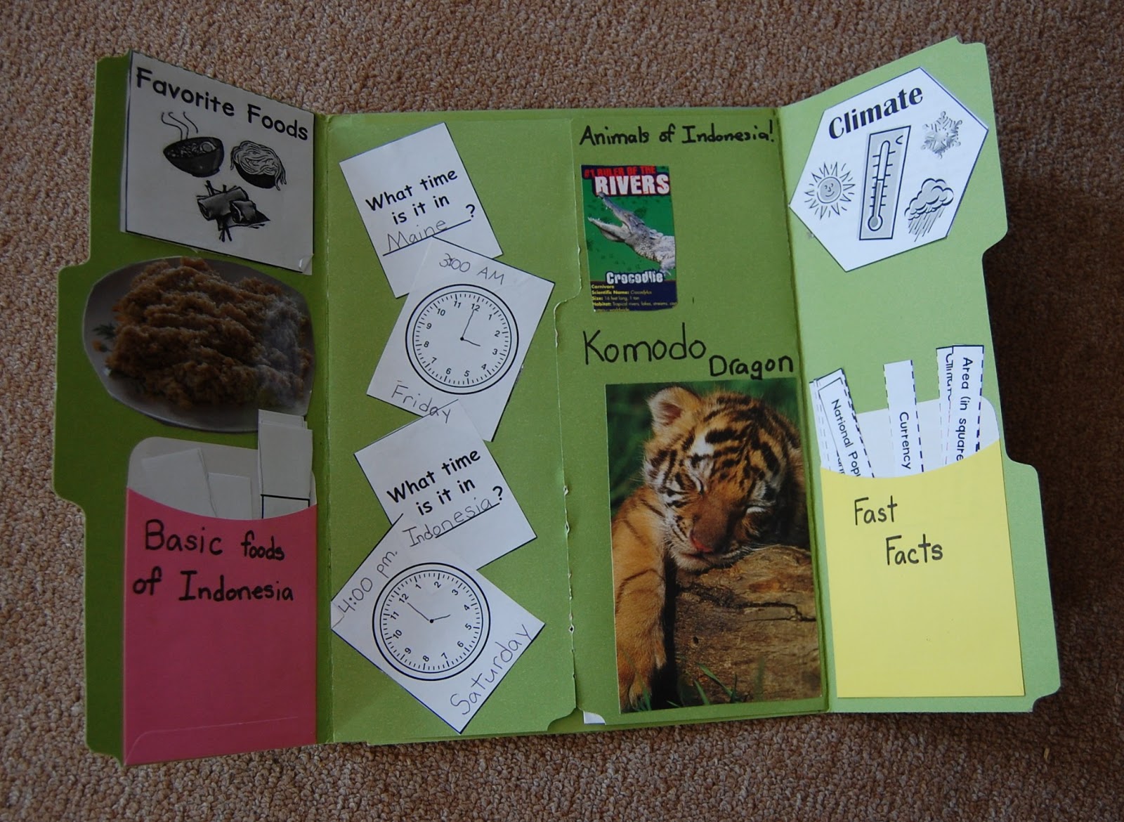 Carmel Hillbillies: Lapbooking - A Homeschooling Post