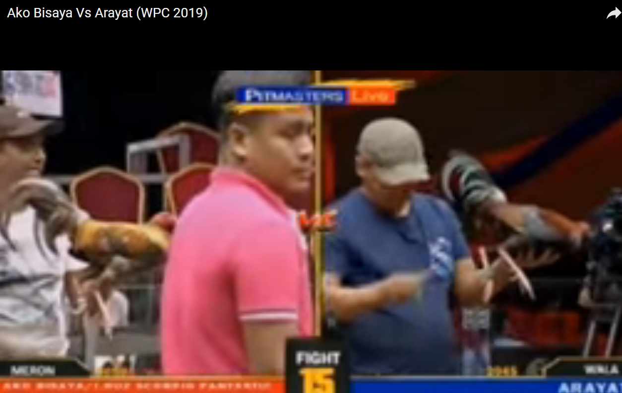 WATCH: Ako Bisaya Vs Arayat @ WORLD PITMASTER CUP 2019 - THE GAMEFARM ...
