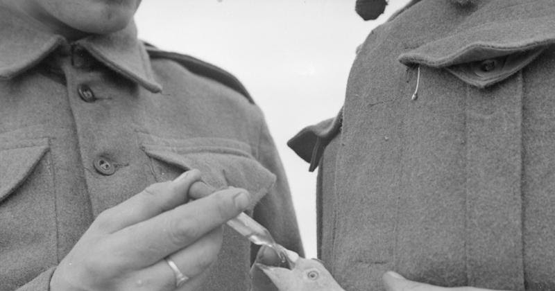 World War 2 History and the WW2 Pigeons: The Pigeons That Went to War ...