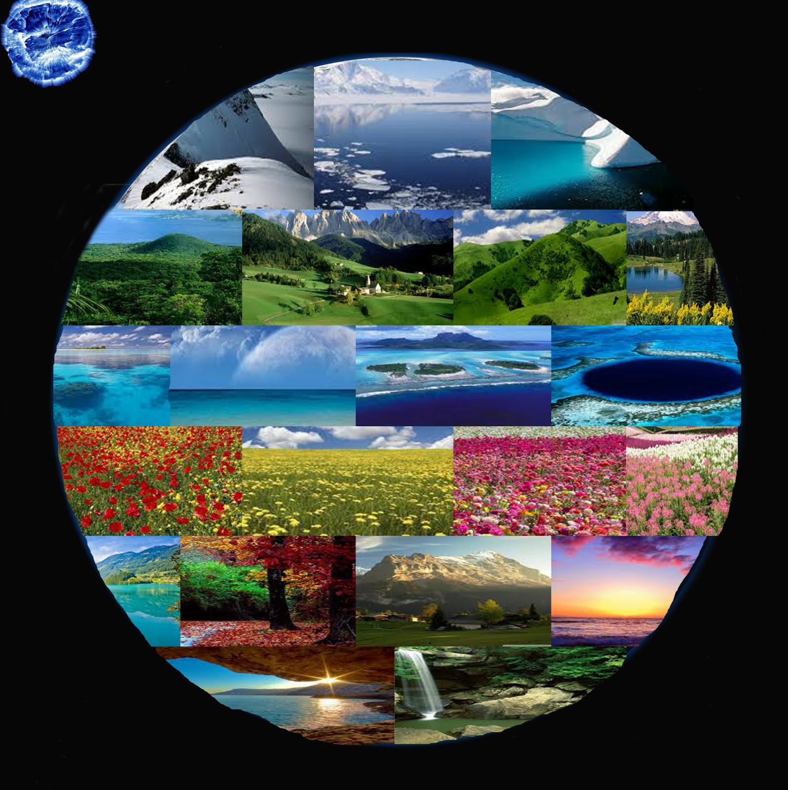 Nazreen Collage: Finish