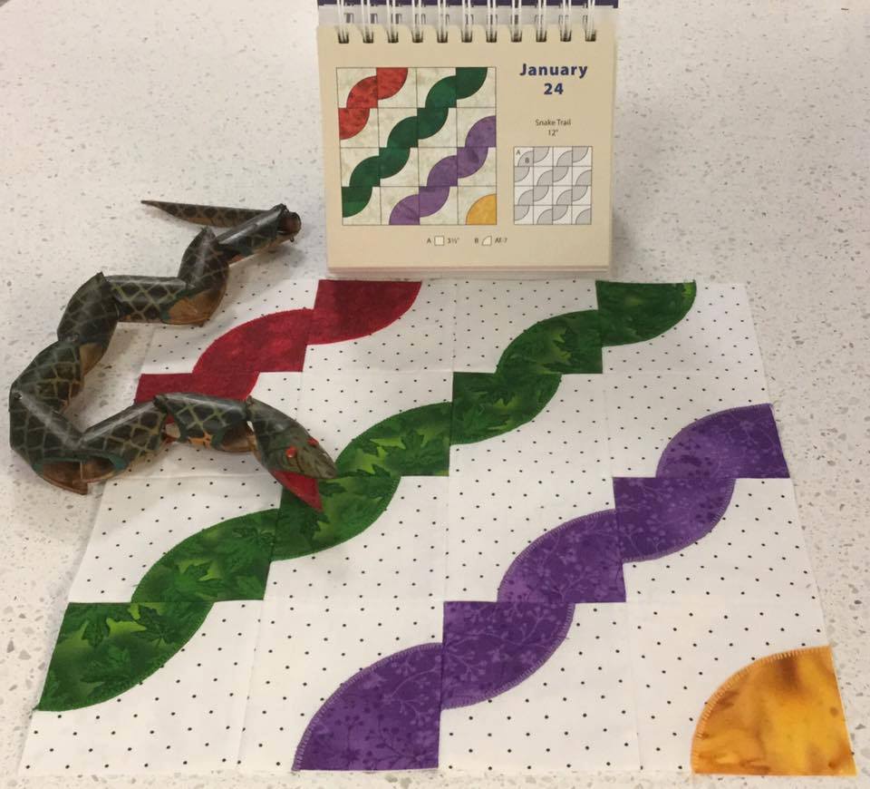 The Snake Trail from The Quilter's Block a Day Calendar