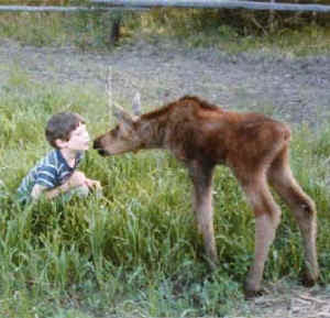 facebooking from the edge...: It happened one Sunday...