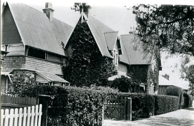 Art Gallery Projects