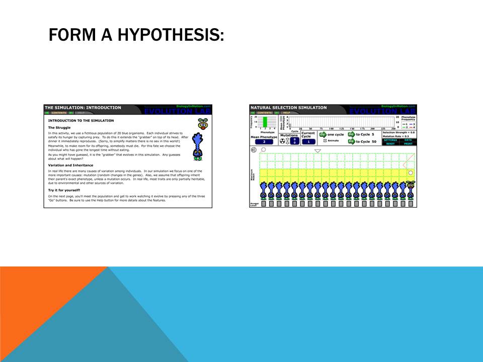 Ms. Amanda's Labs: Day 3 introduction - powerpoint slides with ...