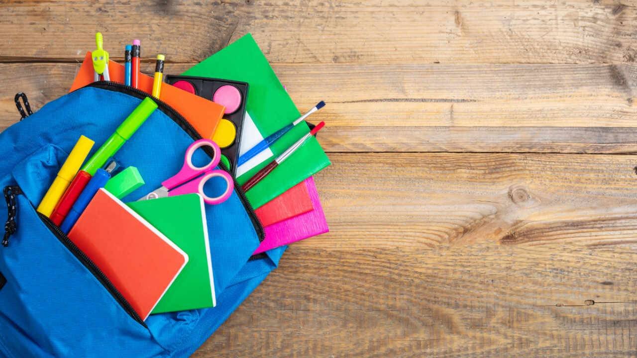 CEDEC International Schools: HOW TO ACCESS YOUR SUBJECT CURRICULUM AND ...