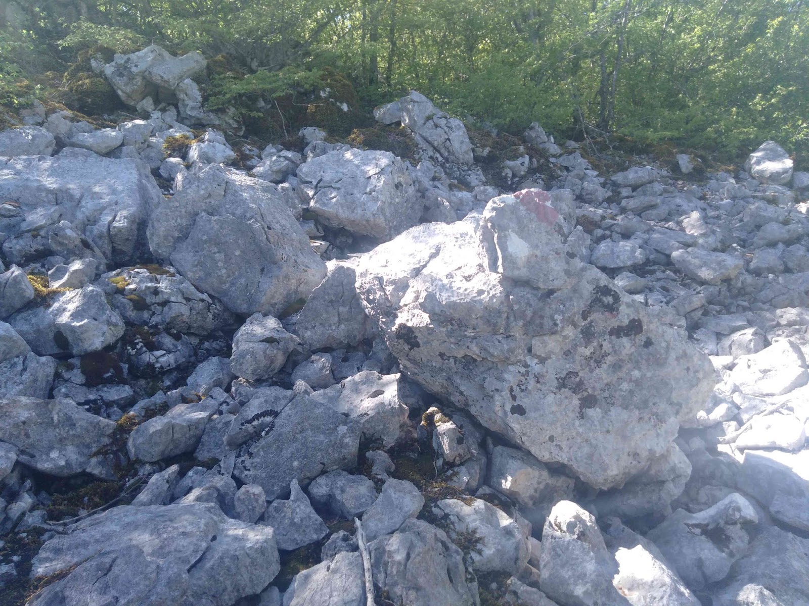 ZABORAVLJENA ILIRSKA GRADINA U GORNJIM MAMIĆIMA KOD ŠIROKOG BRIJEGA ...