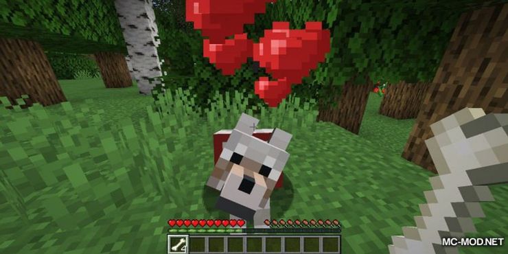 Minecraft: 5 cosas que no sabías sobre los lobos - RIOMCPE