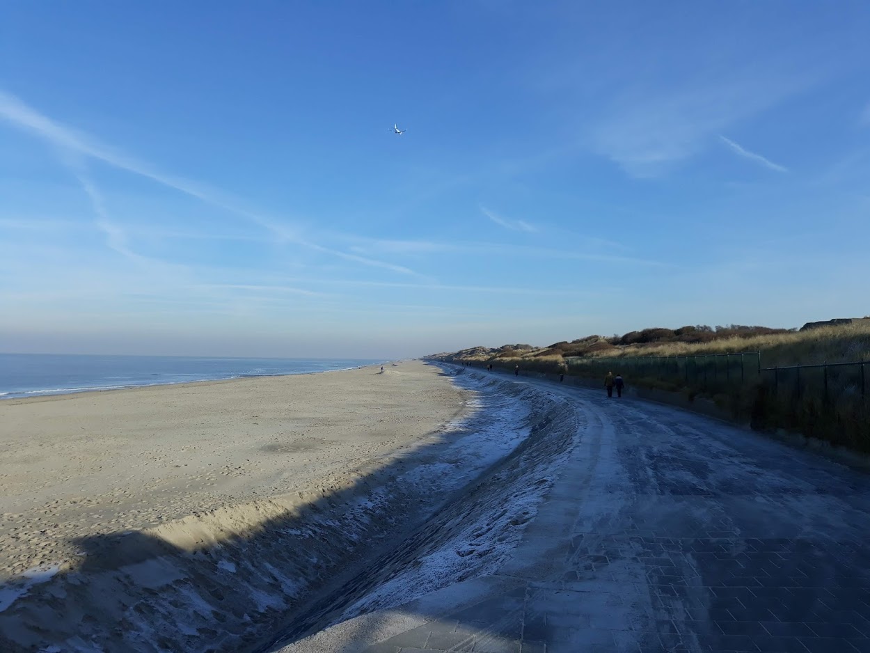 De IJsverwachting: Is er een verschil tussen rijm en rijp?