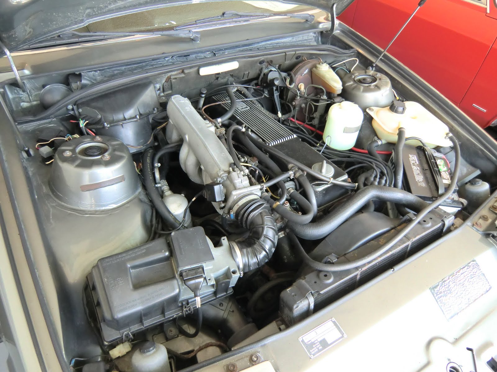 Tamerlane's Thoughts: Inside the Bitter SC