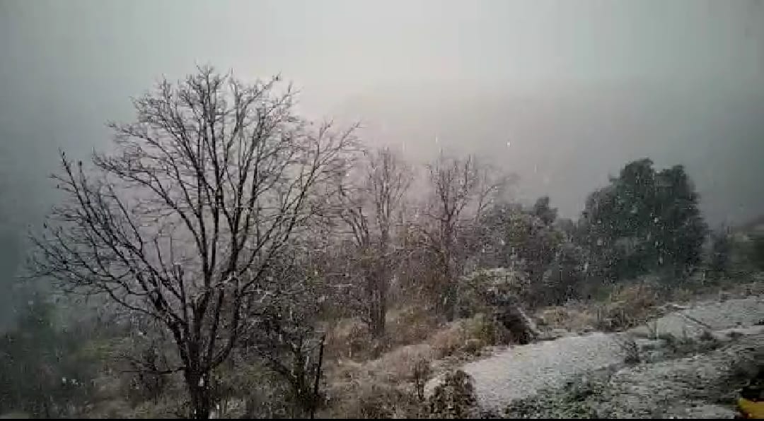 First snowfall of this season in Kullu-Manali | Season's first snowfall | TravellingPhone