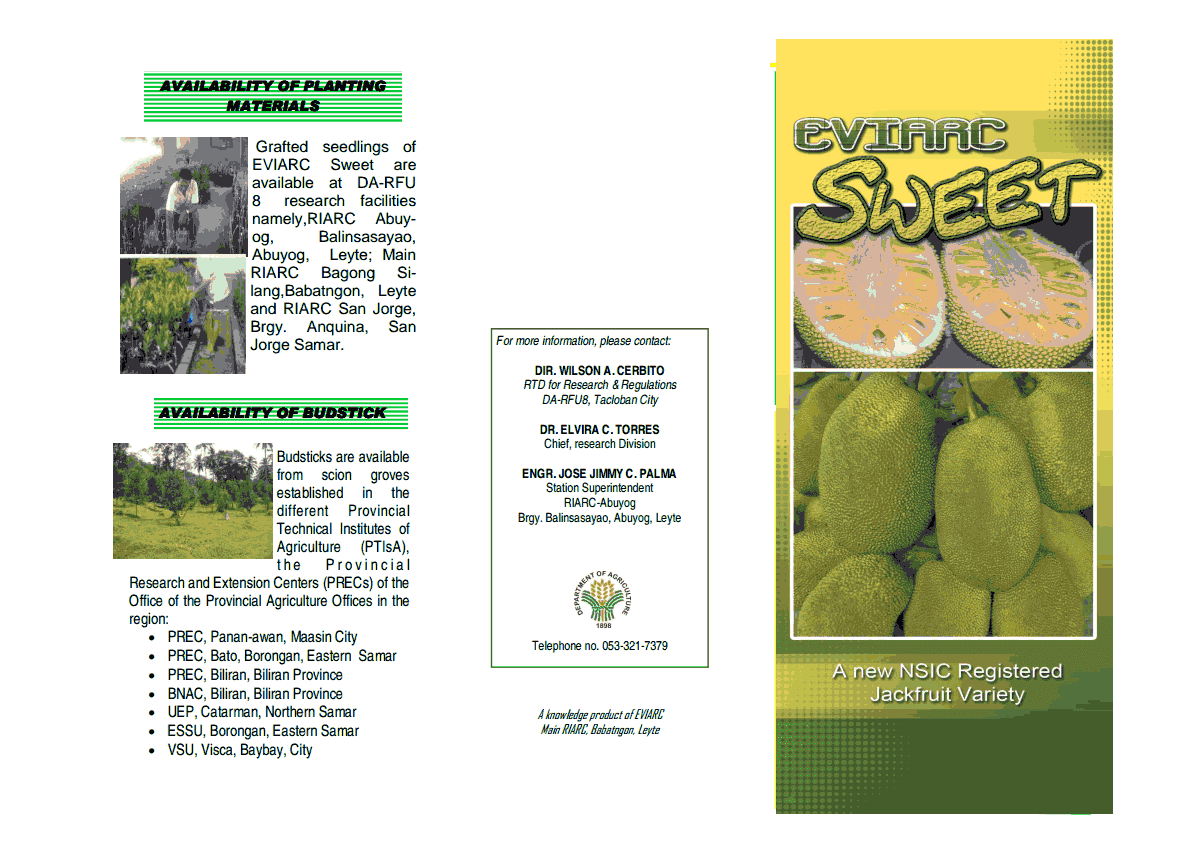 Experimental Farming: More Varieties Of Jackfruit Artocapus.