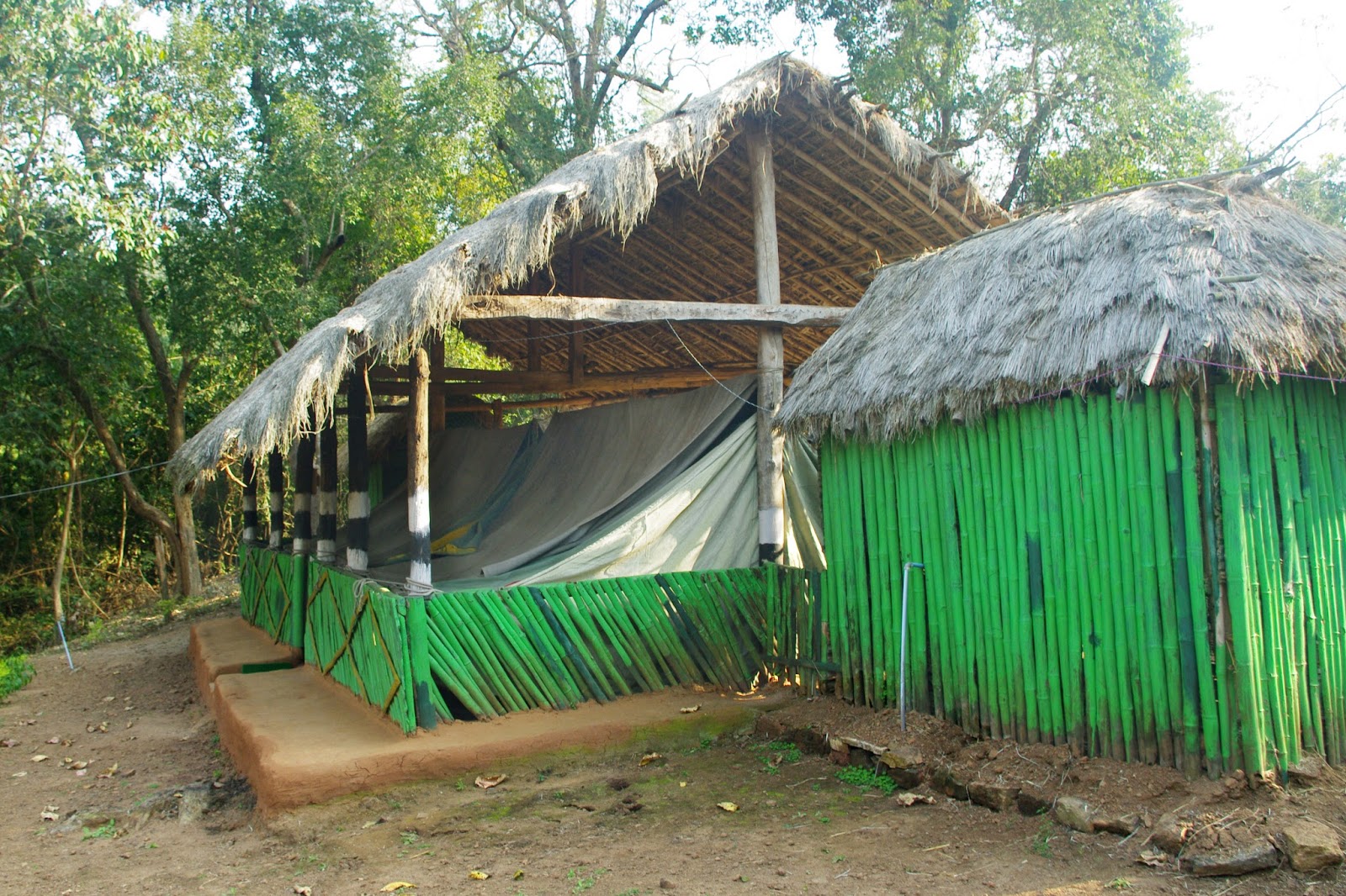 Satkosia Tiger Reserve, Odisha