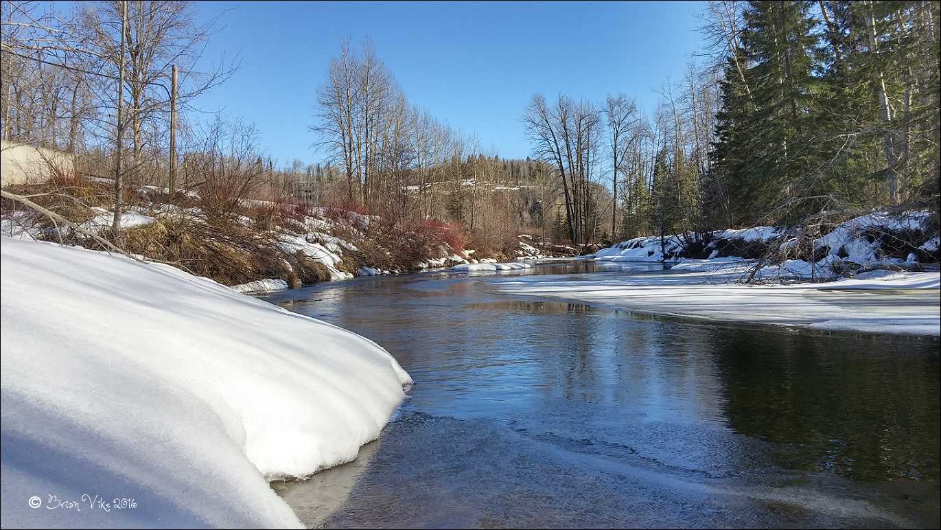 Northern Interior British Columbia: Spring Is In The Air Thawing ...