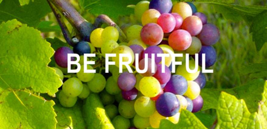 Spiritual Activism: BE FRUITFUL AND MULTIPLY