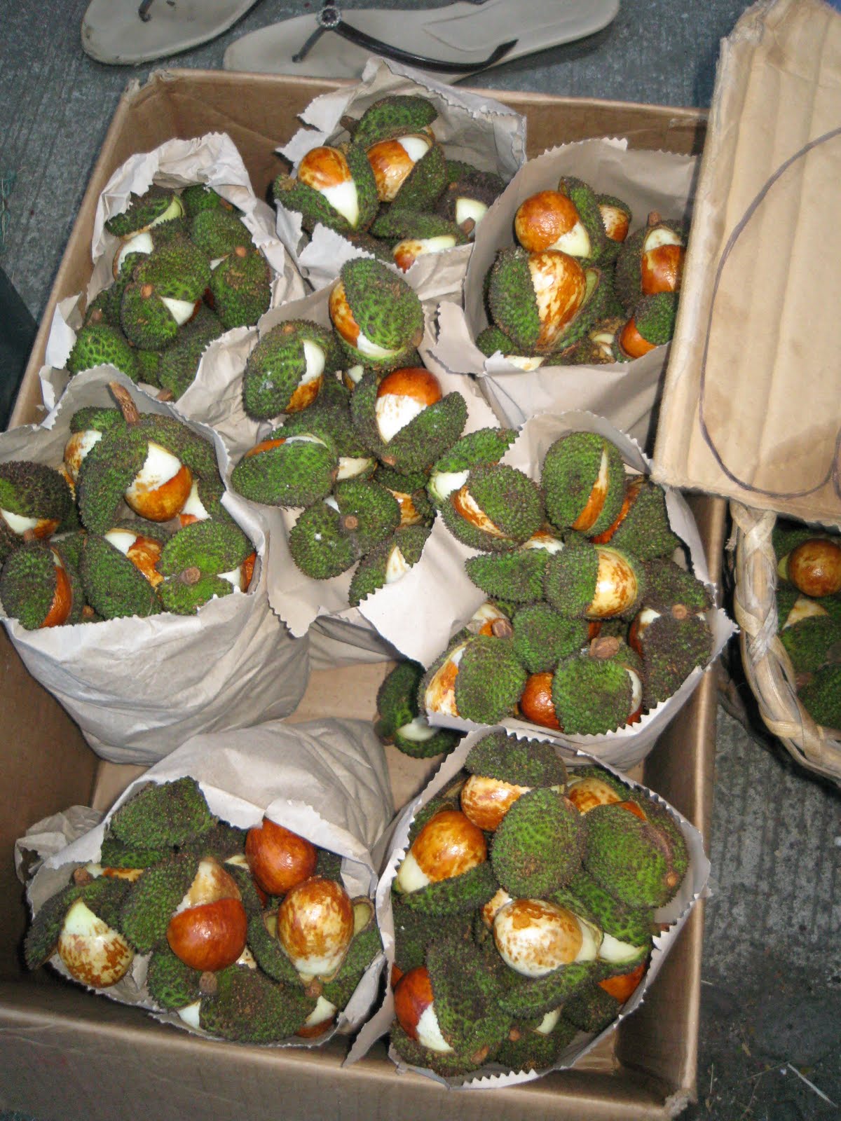 bucaio: Pahiyas 2011 in Photos