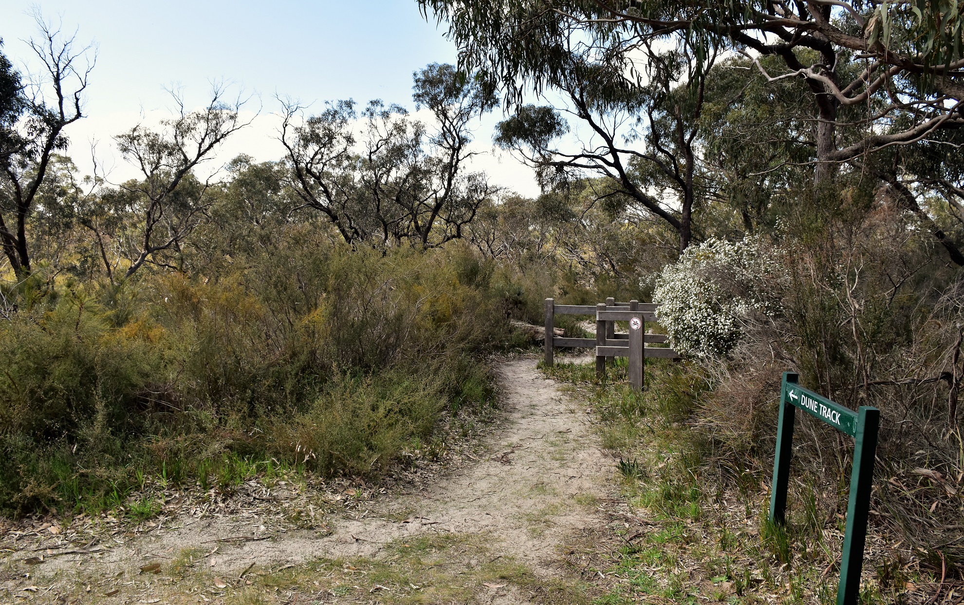 Goin' Feral One Day At A Time: Langwarrin Flora & Fauna Reserve ...