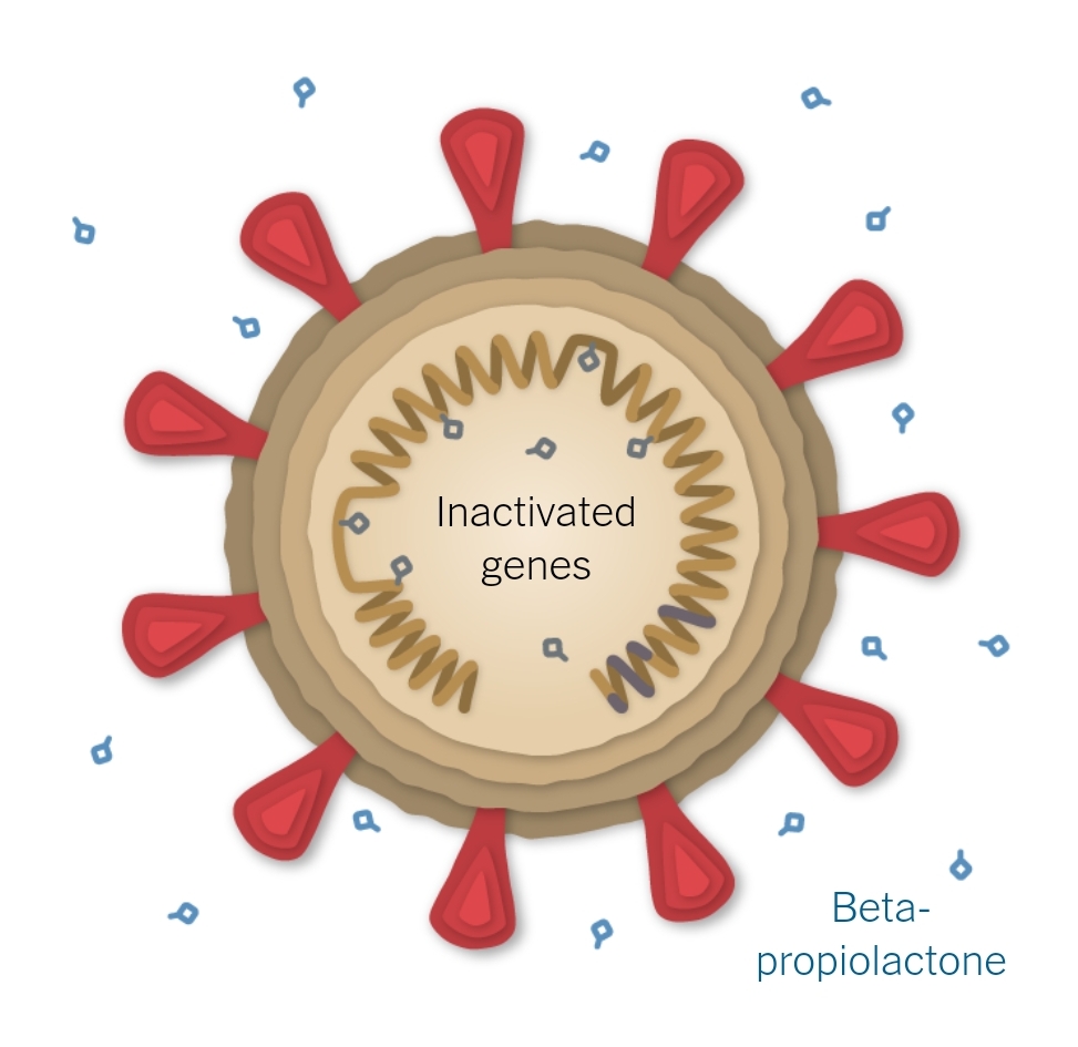 Minda Ke Tinta Dr.Rushdan Noor: VAKSIN COVID-19 VIRUS TERNYAHAKTIF DARI ...