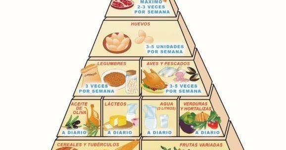 Composición de una dieta balanceada || Consejos de Leyla