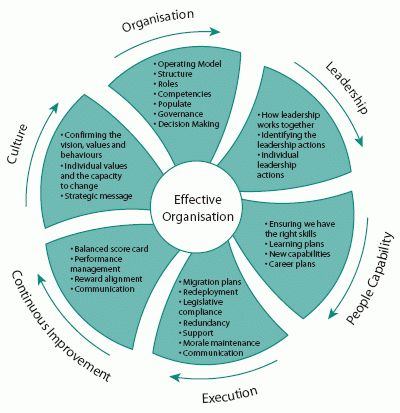 Management&Business: Designing Your Organization for BPO and Shared ...