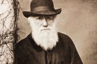 Rosa Rubicondior: Darwin's Finches - Another Triumph For Science